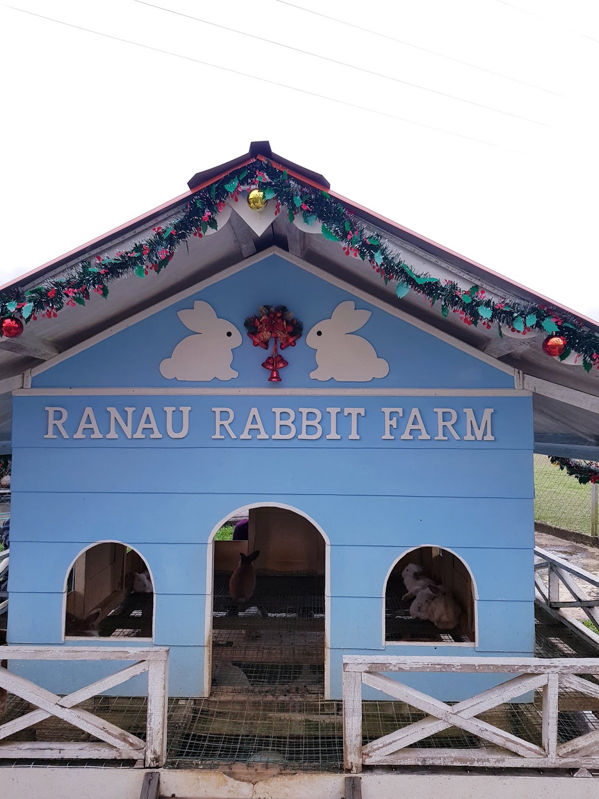 Ranau Rabbit Farm