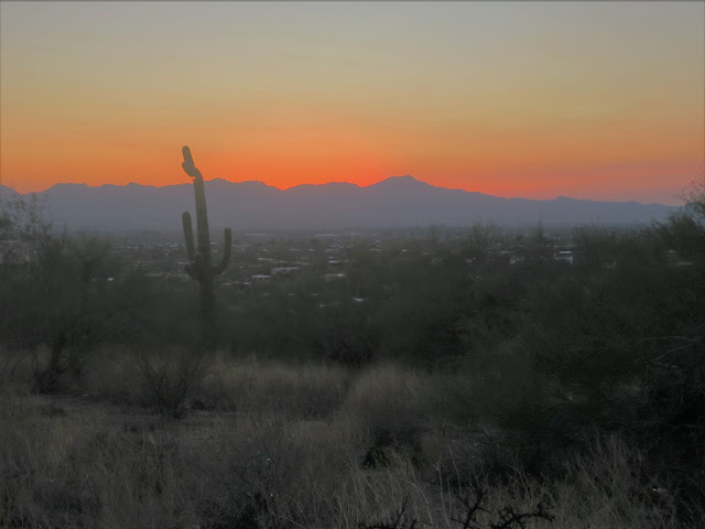 Living Rootless: Tucson, AZ: Sunset at Campbell Trailhead