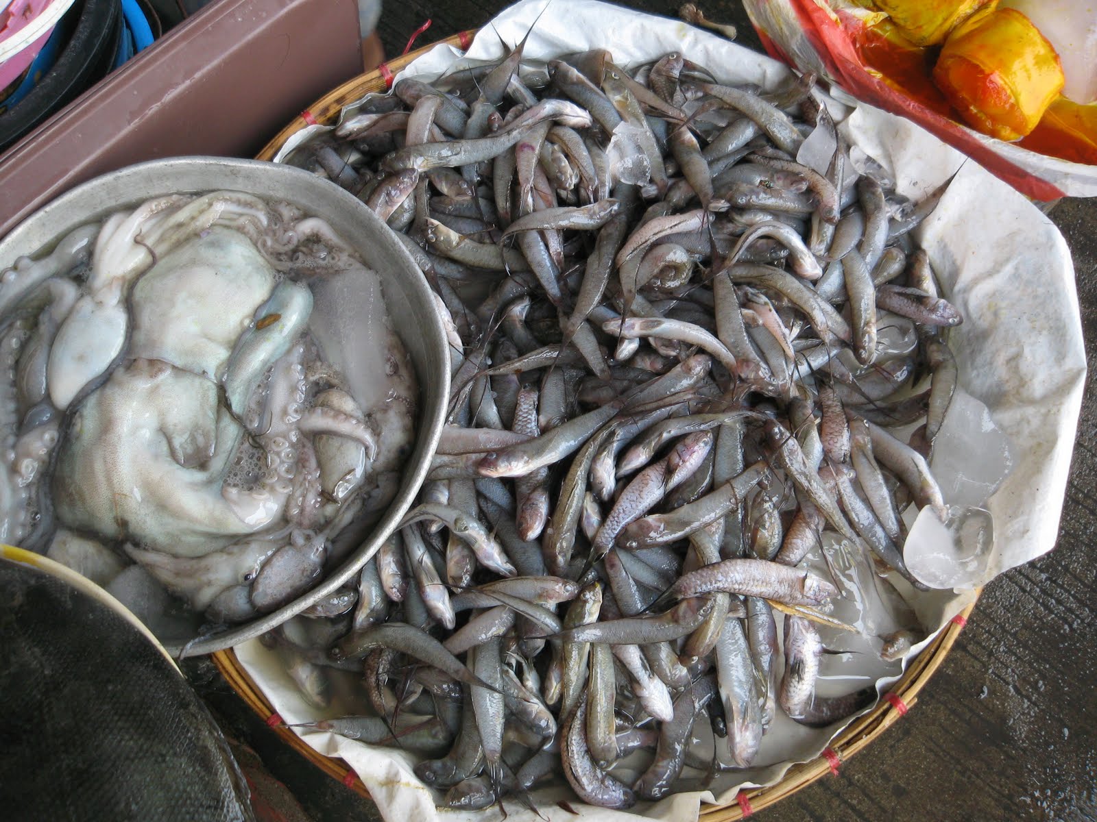 bucaio: Isdang Cavite