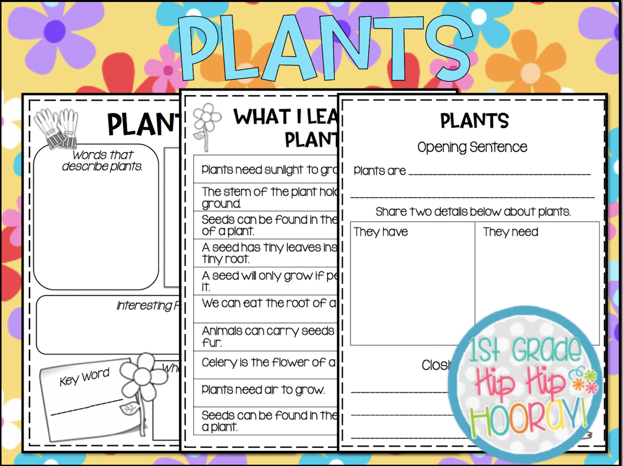 1st Grade Hip Hip Hooray!: Plants..."Growing" our knowledge of plants!