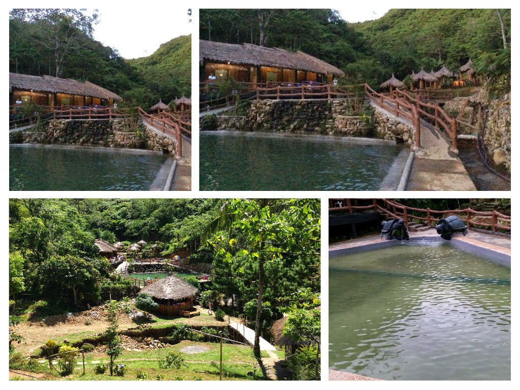 Wanderlustigers (Travel & Tourism): Island of Negros Tourism: Balokon ...