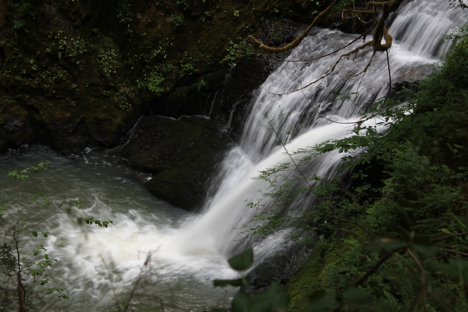 Richard Hikes: Little River Waterfalls