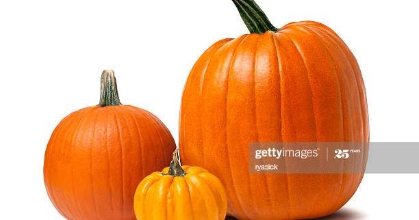 The Lost Sock : Zen Pumpkin