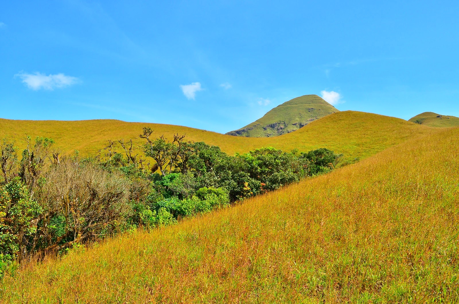 Sharath Hassan A Travelling Photographer: JENUKALLU GUDDA (JENUKAL ...