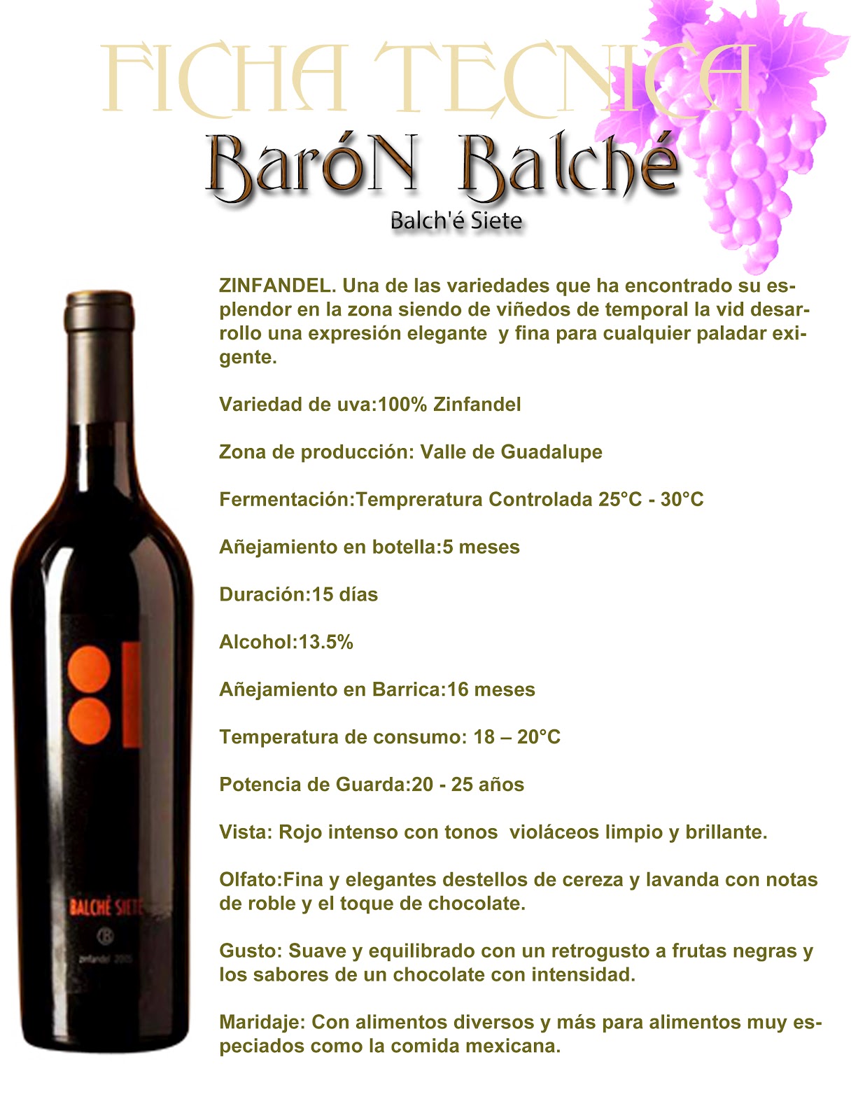 fichas de vinos: ficha tecnica baron balche siete