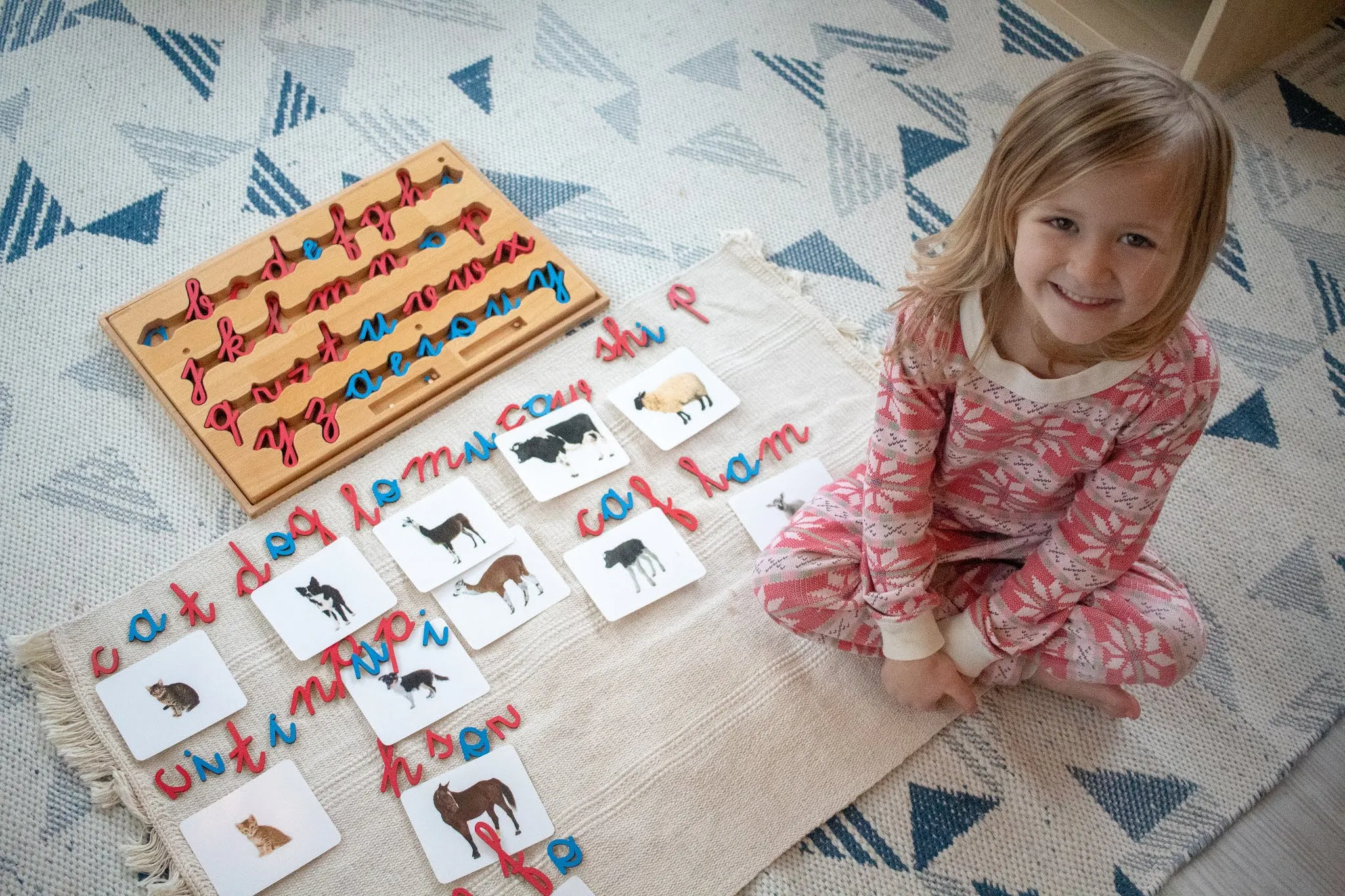 5 Ways to Use a Montessori Movable Alphabet at Home