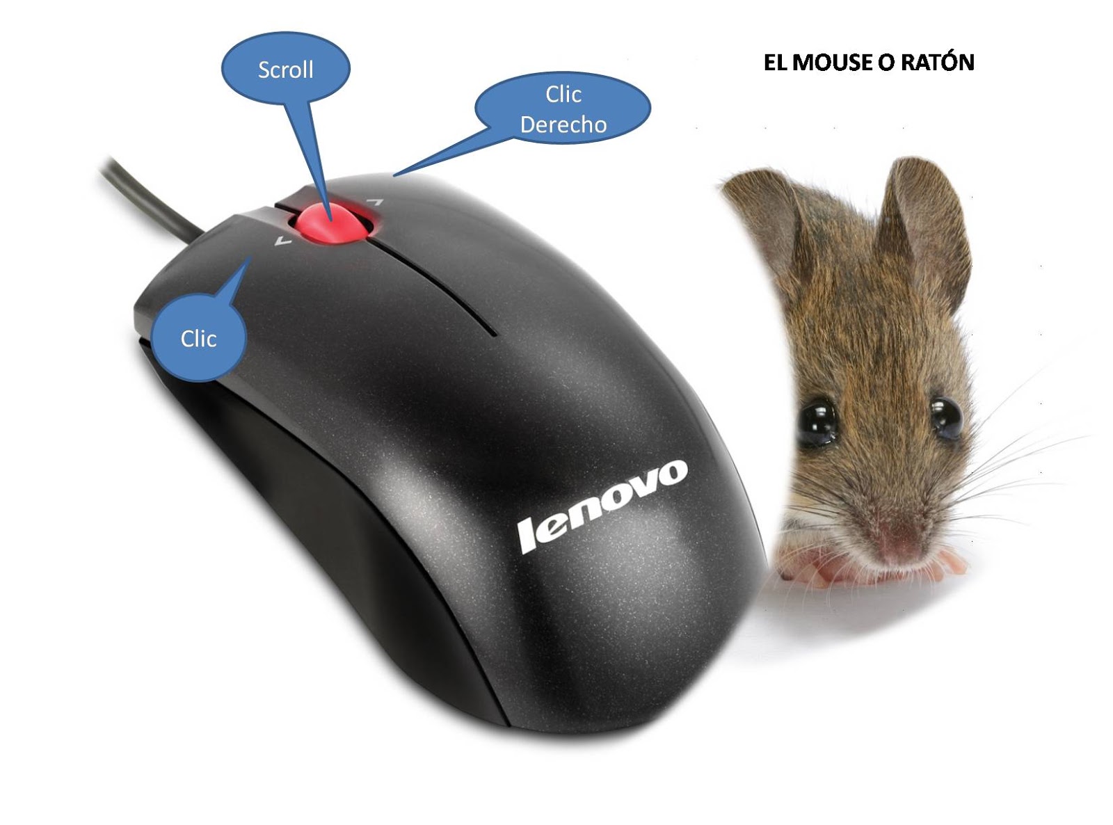 Manejo y Funciones del Mouse o el Ratón