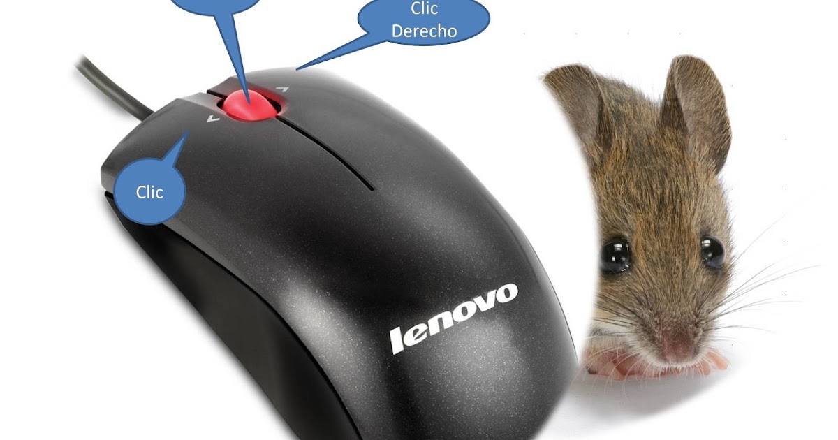 Manejo y Funciones del Mouse o el Ratón