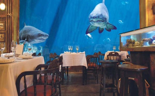 The Majestic Underwaters: Underwater Restaurants