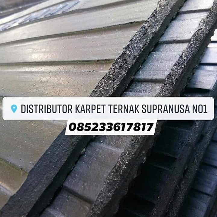 Karpet Ternak Sapi: KARPET SAPI MURAH HARGA GROSIR