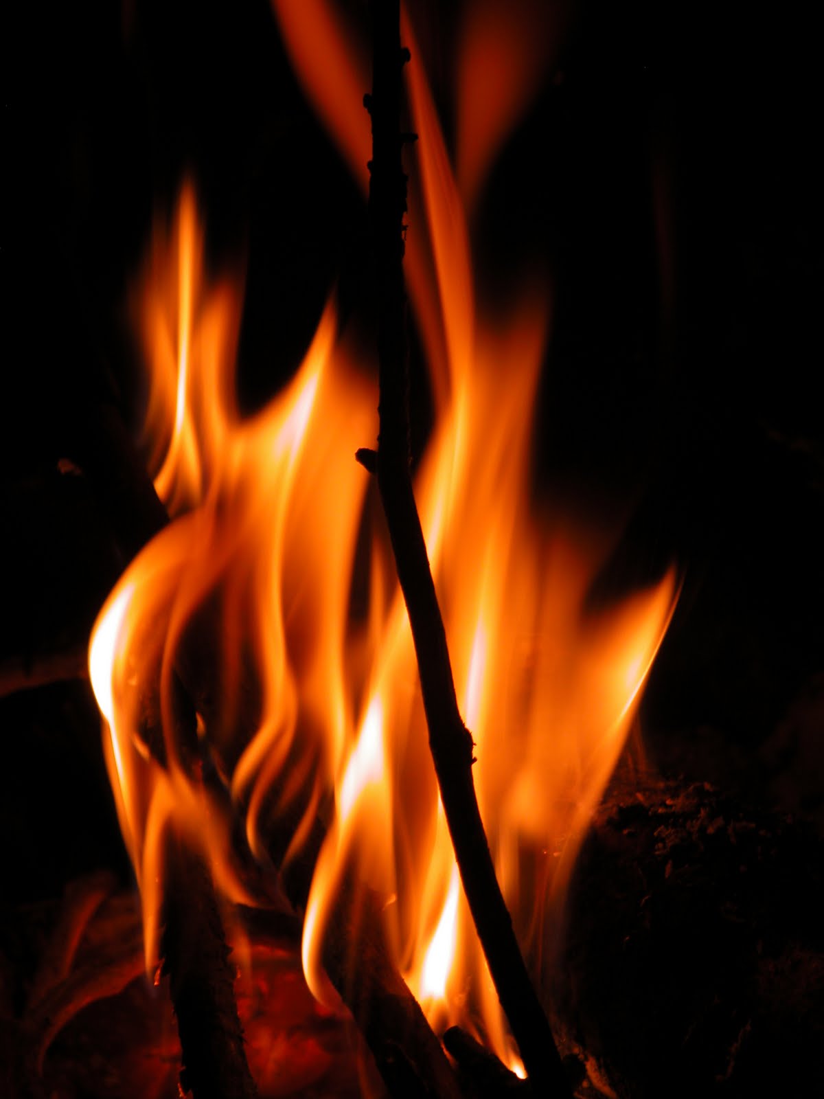 Munablom: I colori del fuoco