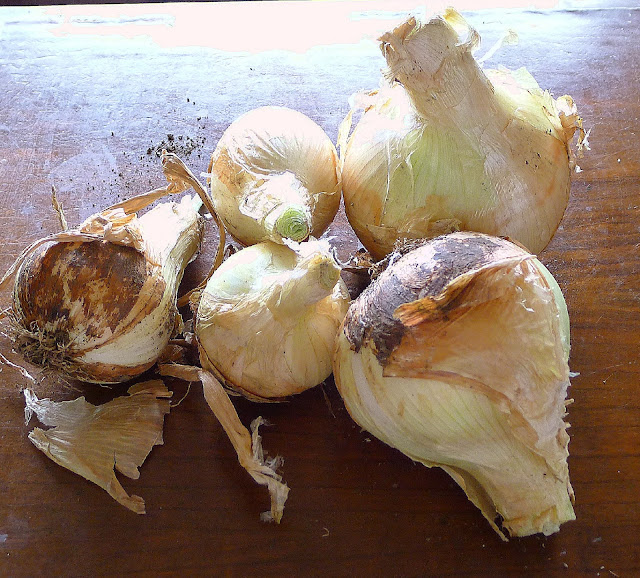 MY KITCHEN IN SPAIN: WHEN LIFE GIVES YOU ONIONS—