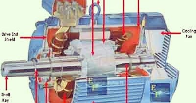 Polyphase Induction Motor (Basics)