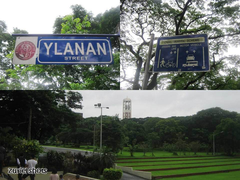 Zuriel Shots: UP Sunken Garden