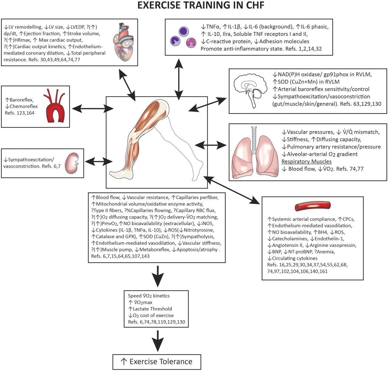 pathway chf - wood scribd indo