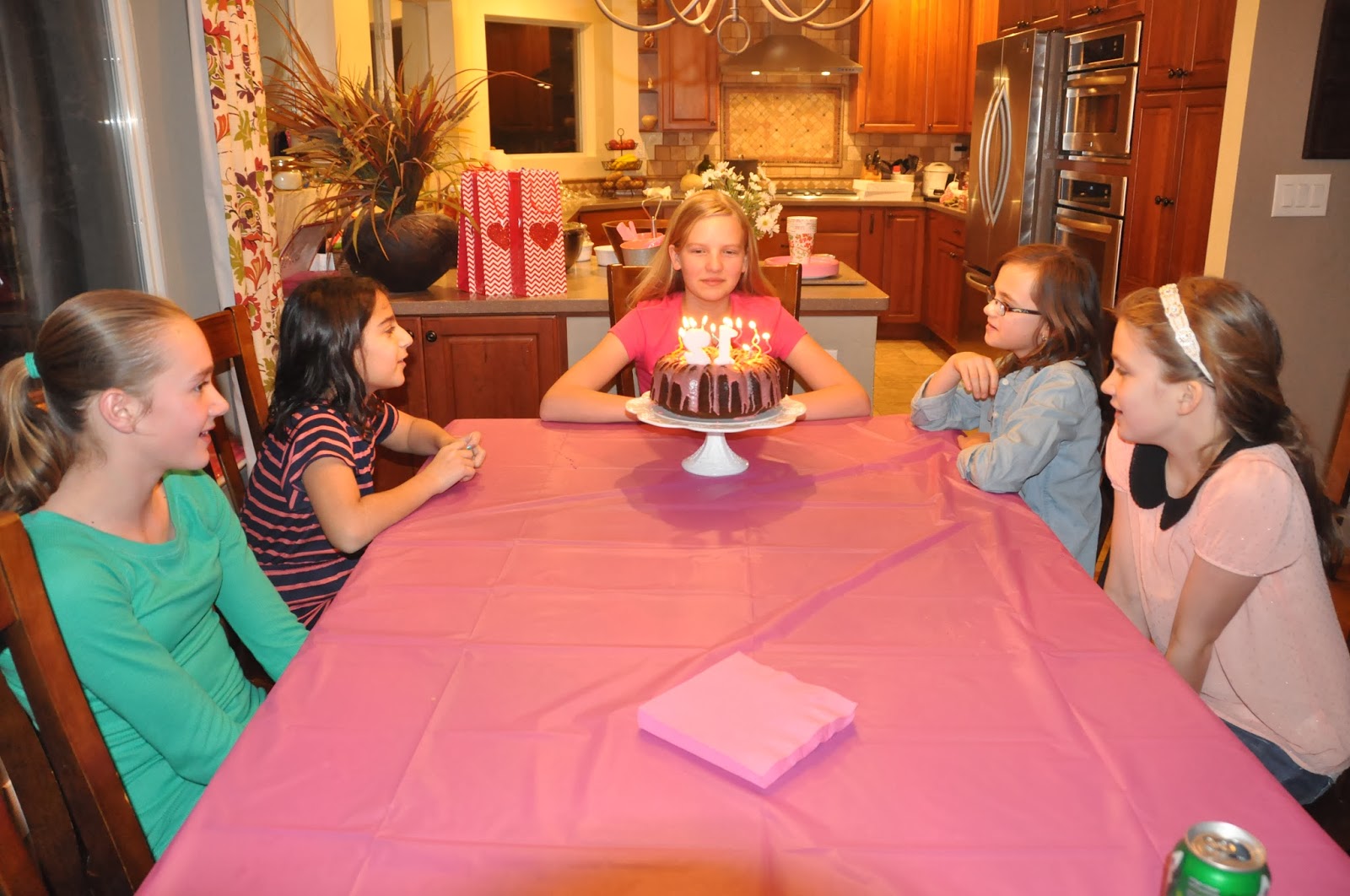 Adventures of the Girls and their Little Brother: 12th Birthday Party ...