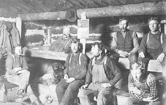 Damn Yak Dry Goods Co.: Logging Camps.