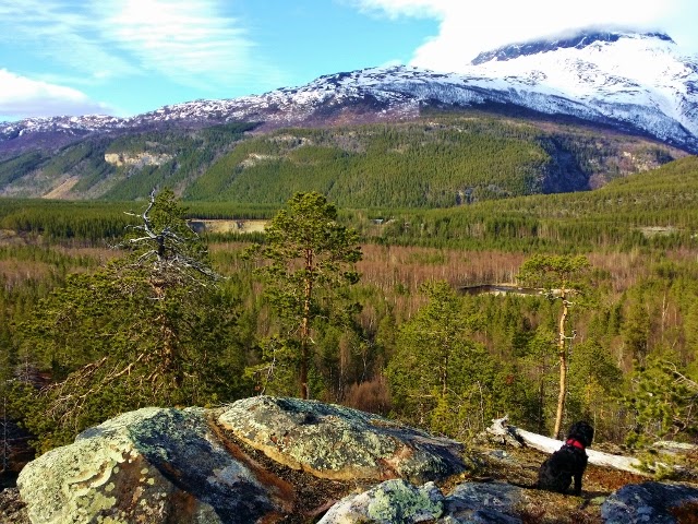 Villmarkshjerte: Geocachingtur til Saltdalen!
