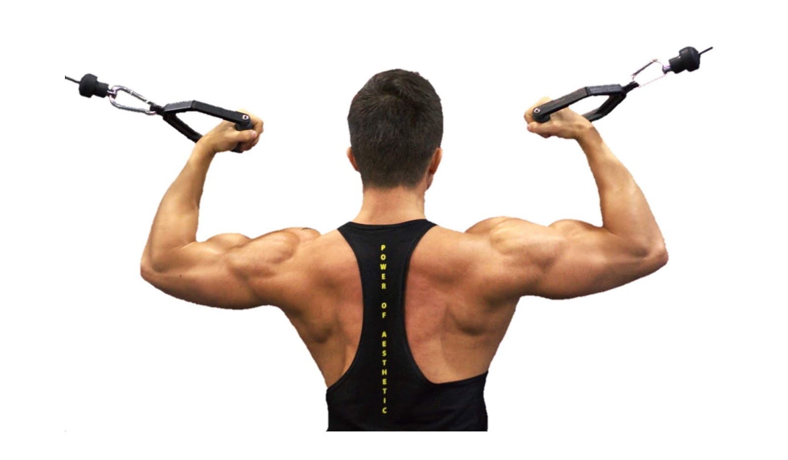 Omg! The Best Back Exercises At The Gym Ever! | Back exercises at the ...