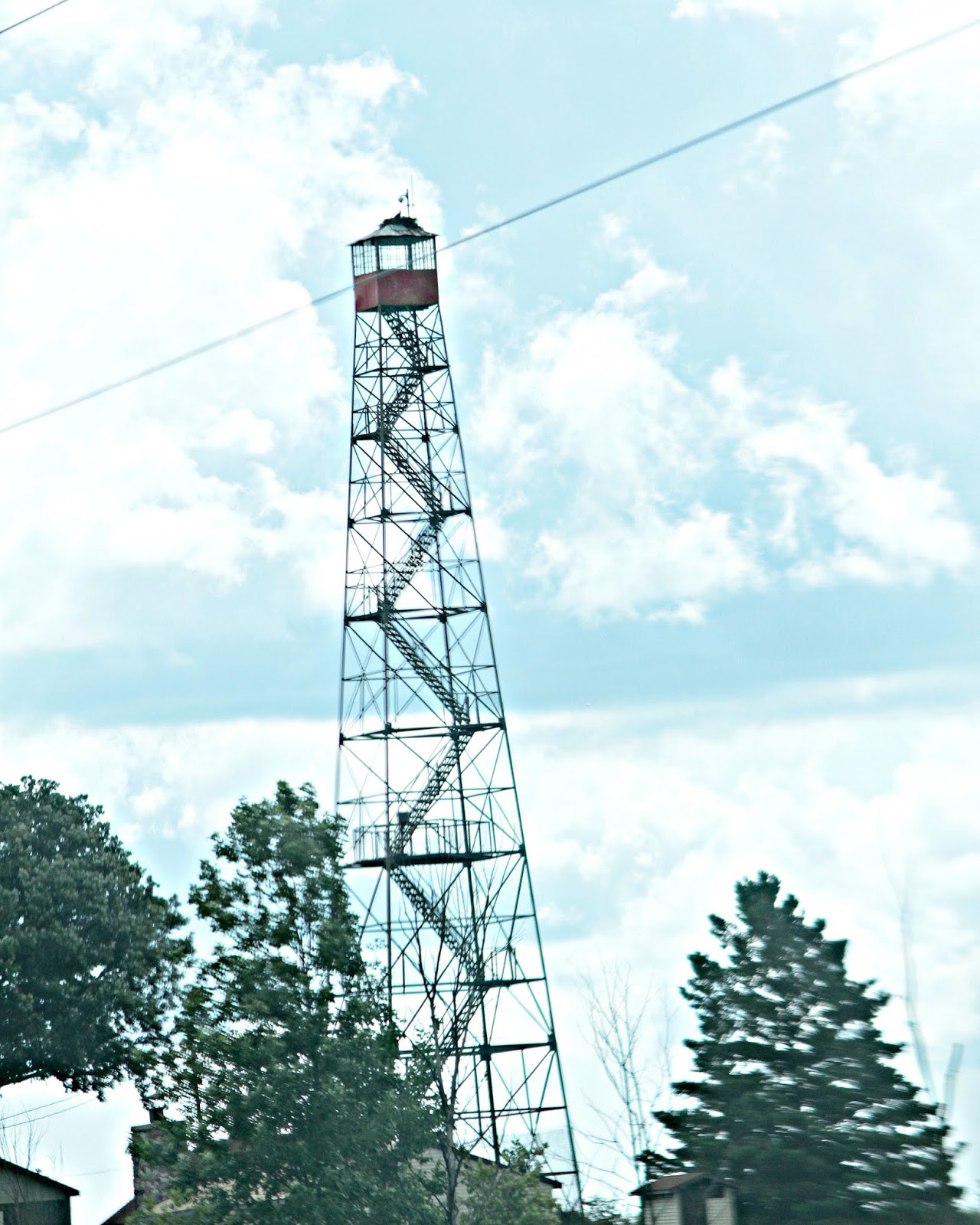 Timber Life: A Visit To The Collins WI Marsh Wildlife Area