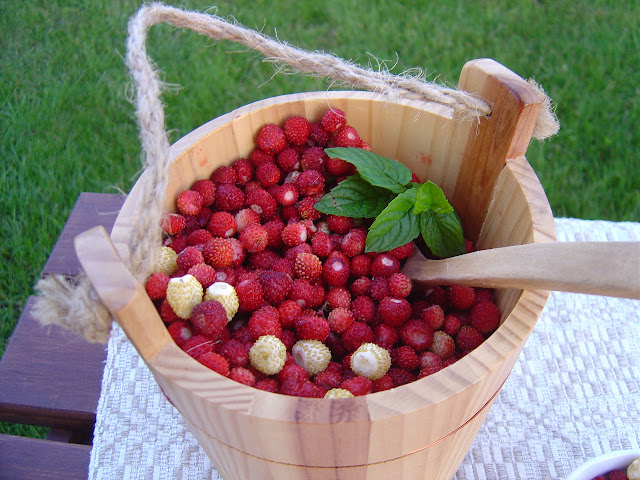 Tarp vėjo gūsių: ŽEMUOGIŲ GARDĖSIS