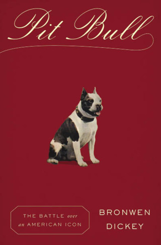 Pit Bull Haters Exposed: Facebook why are you allowing anti pit bull ...