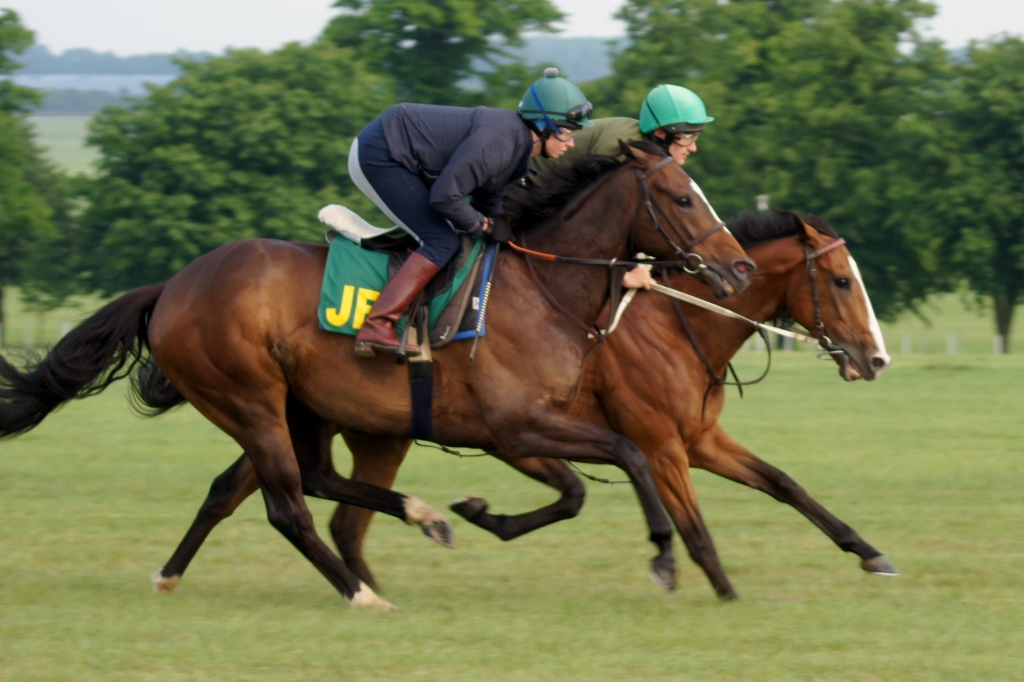 Julia Feilden Racing