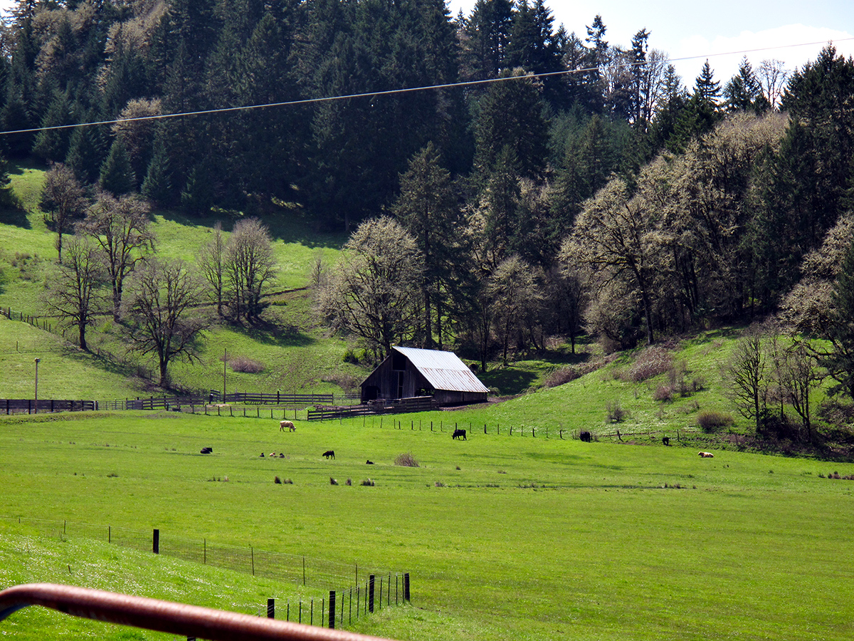 I'm Outta Here: Motorcycling Oregon