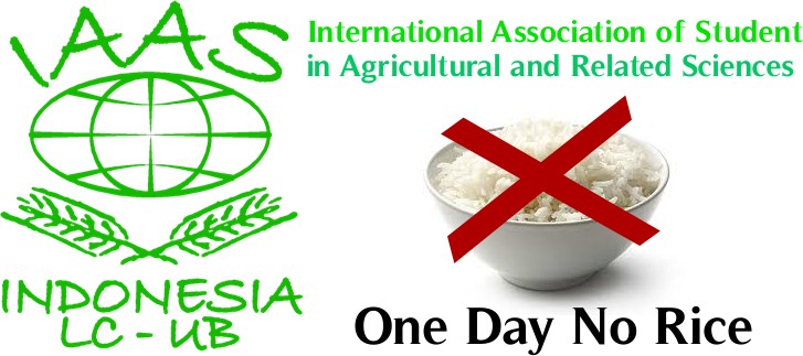 SAY MEAN THINGS ABOUT RICE****** - Page 2 | TexAgs