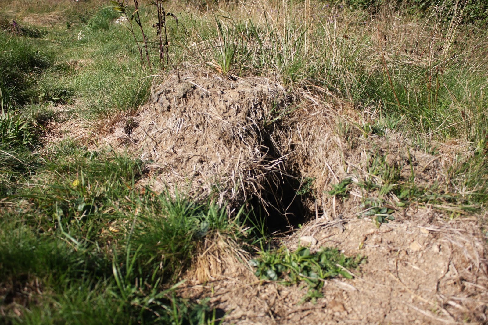 Le Pre Bonnet: Nog steeds druk...