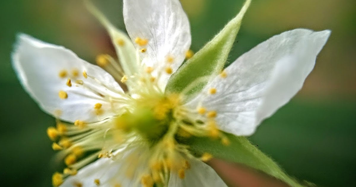 Pashan: Pashan is Beautiful ! Serial One : A Tryst