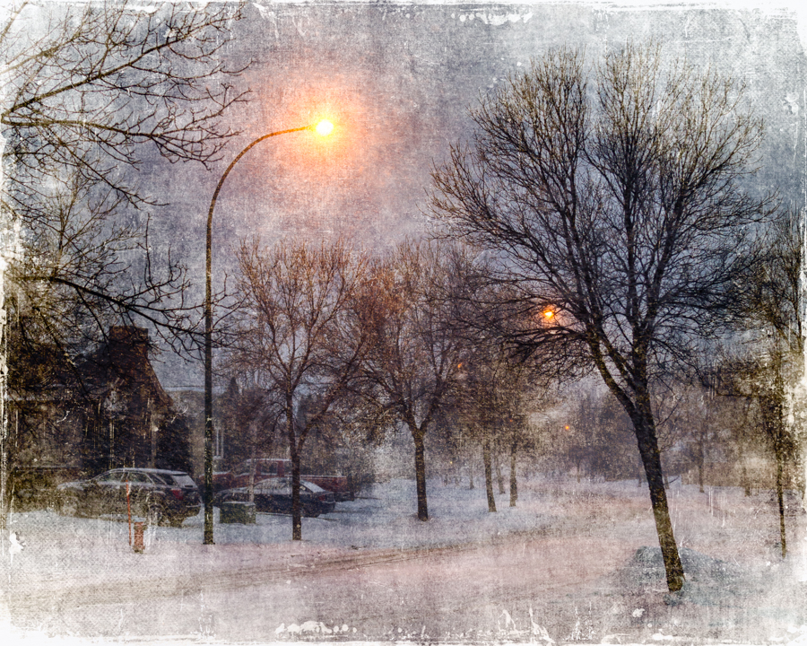 Carla Dyck Photography: Snowy Dawn