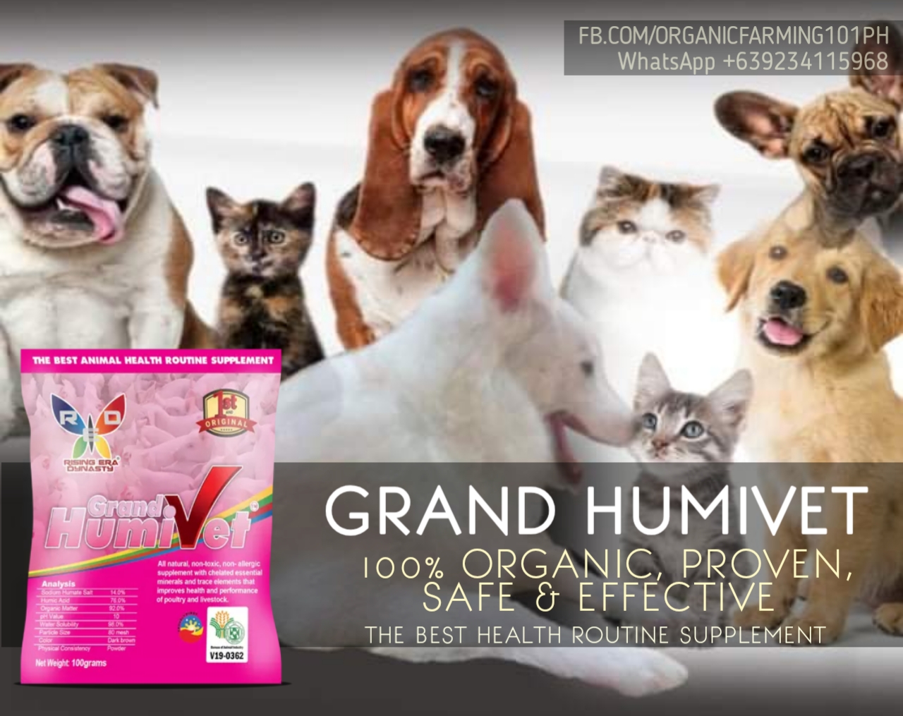GRAND HUMIVET: The Best Health Routine Supplement (King HumiVet Repackaged)