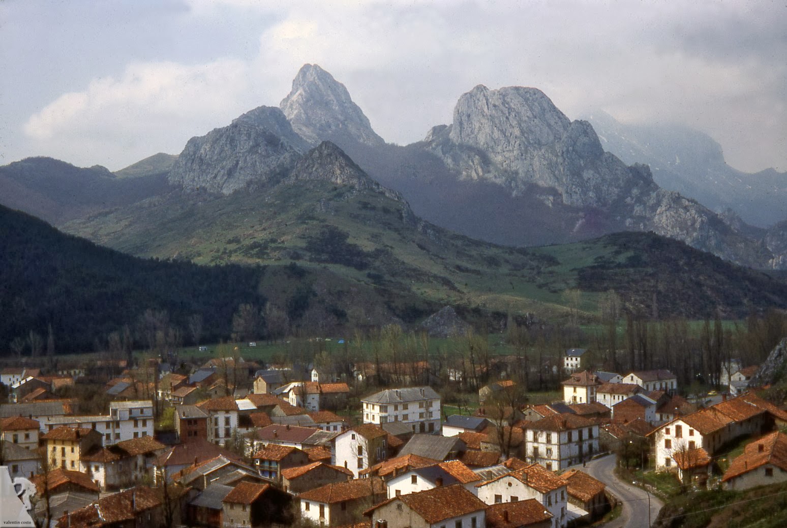 Los Fogones de Mary-Sol: Mantecadas de Riaño
