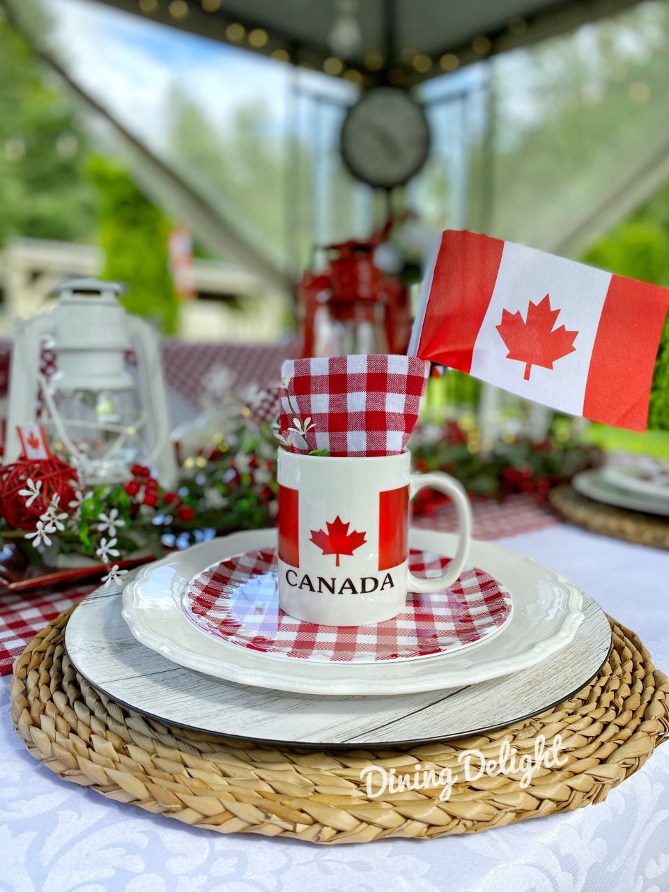 Dining Delight: Canada Day Tablescape for Backyard BBQ