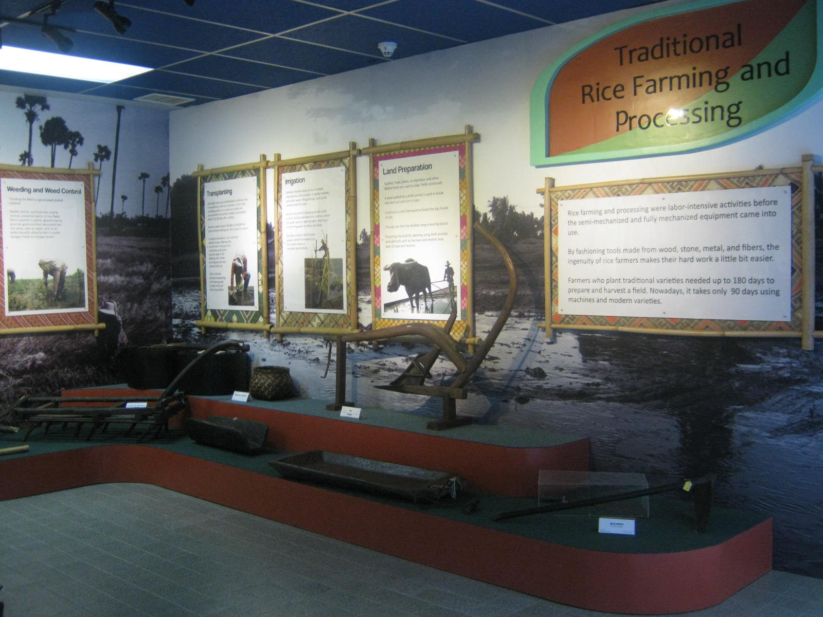 IRRI Riceworld Museum and Learning Center : Everything About Rice ...