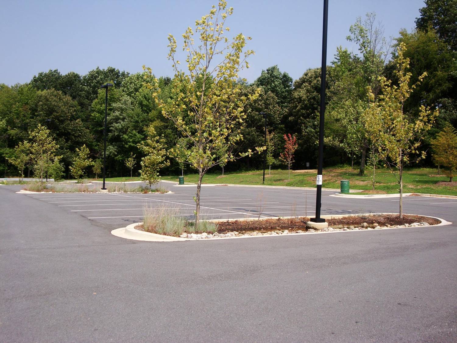 WALK LAUREL: Doing Parking Islands the right way