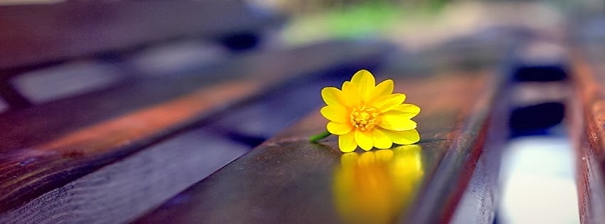 Best collection of yellow flower facebook cover photo ~ Charming ...
