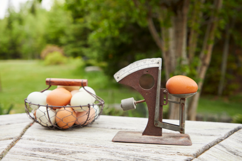 Handy Chicken Egg Size Chart - Fresh Eggs Daily® with Lisa Steele