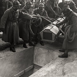 Week 4: The Unknown Soldier is placed in the tomb ~ Invisible Paris