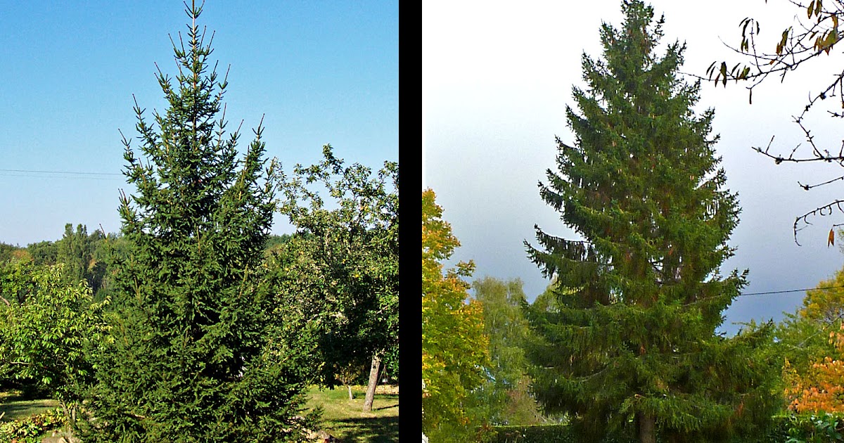 Living the life in Saint-Aignan: 50 feet (15 meters)