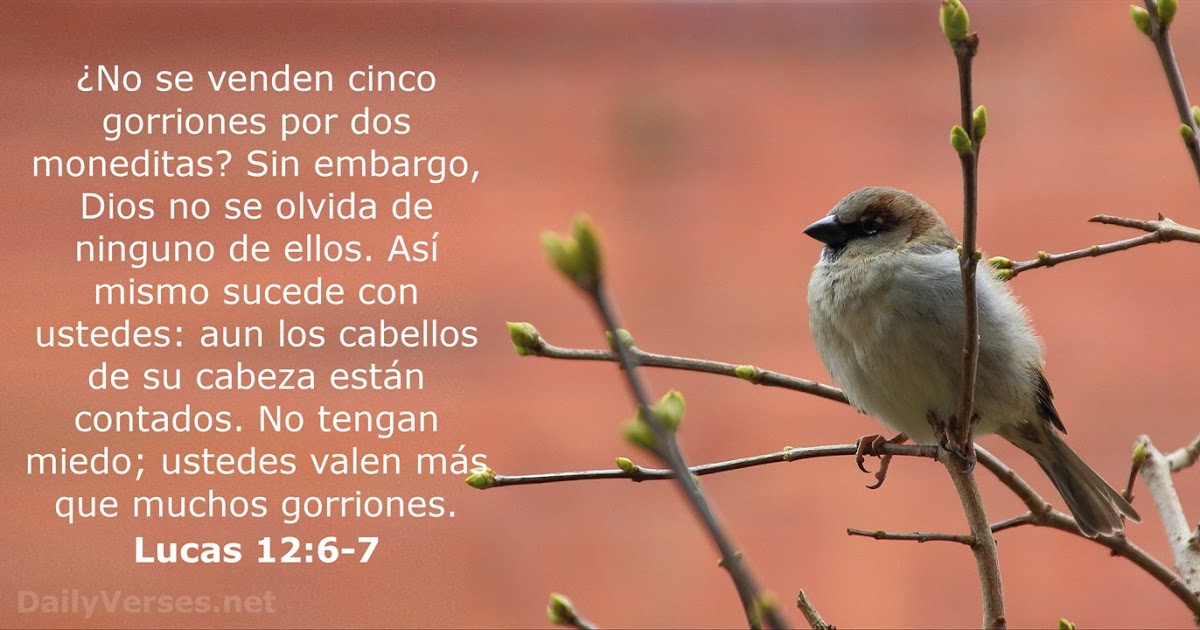 ANTOFAGASTA RELIGIOSA: LA BIBLIA: LUCAS 12