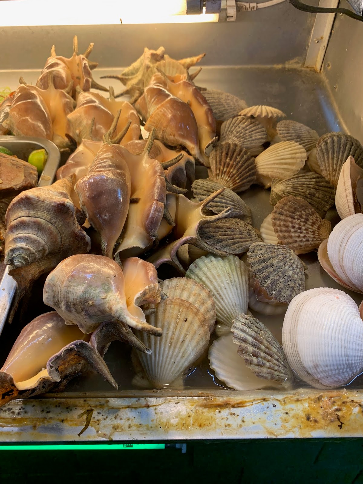 Larsian: Haven for Seafoods and Grilled Dishes