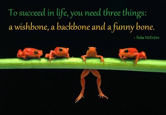 To Succeed in Life, you need Three things: a Wishbone, a Backbone and a ...