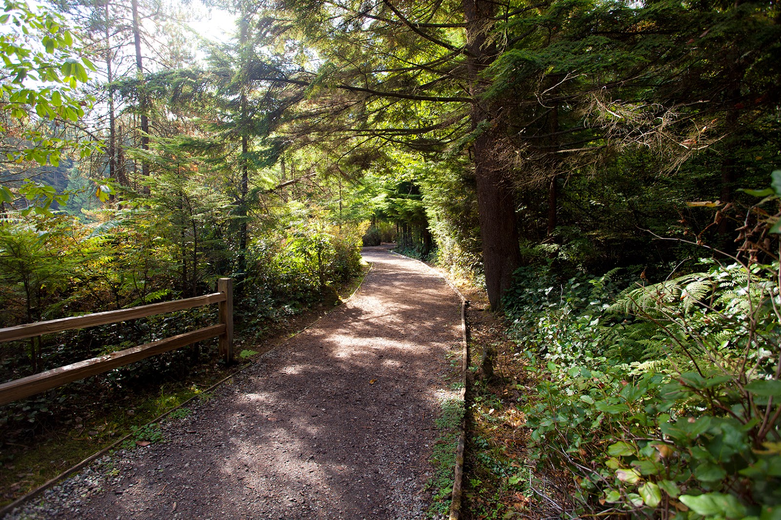 Terry O'Neill: Mundy Forest must be for the people