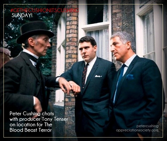 PETERCUSHINGBLOG.BLOGSPOT.COM (PCASUK): WONDERFUL WANDA : INTERVIEW ...