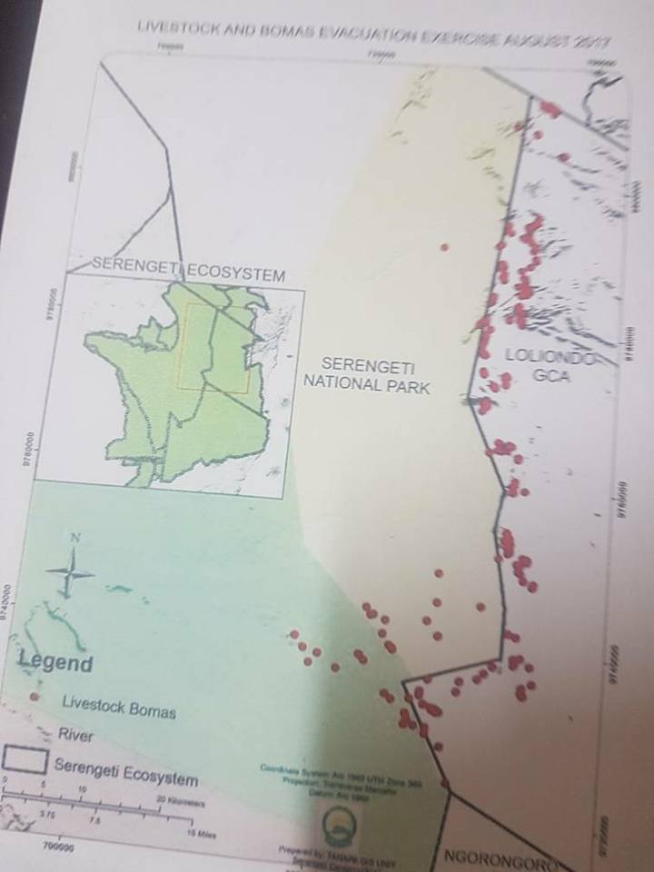 View from the Termite Mound: A Reminder about Loliondo