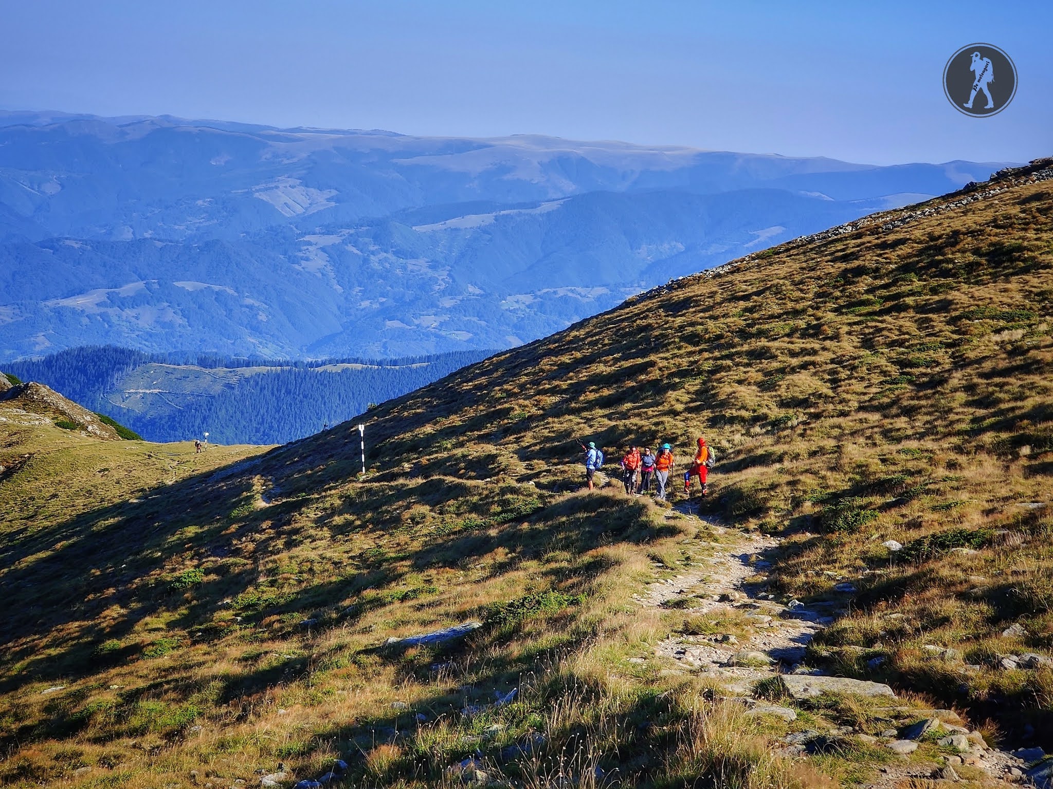 Traseu în Munții Parâng - Vârful Parângul Mare (2519 m), al patrulea ...