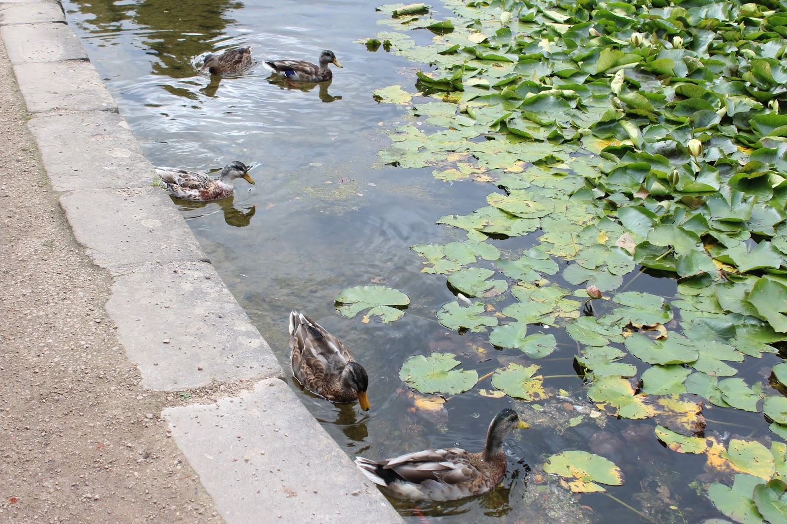A Visit to Newstead Abbey