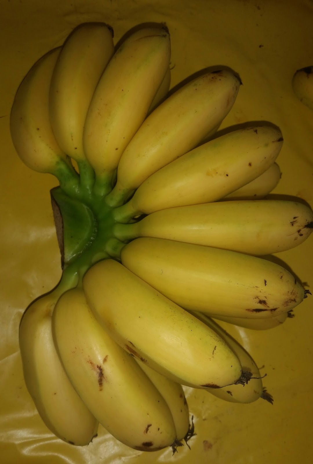 Warisan Petani: Buah Pisang 2